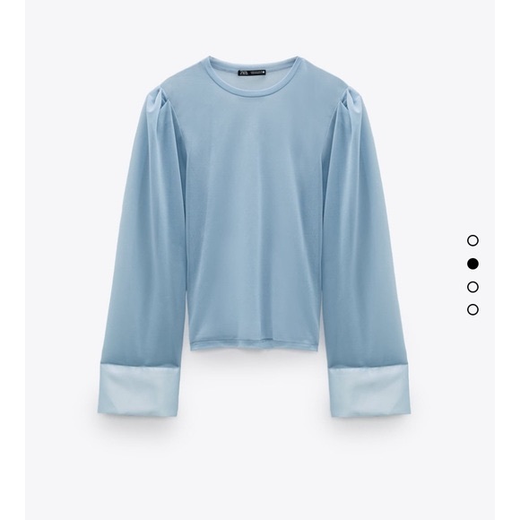 Zara | Tops | Zara Sheer Tulle Top | Poshmark